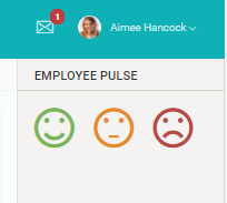 Employee Pulse - HRWize